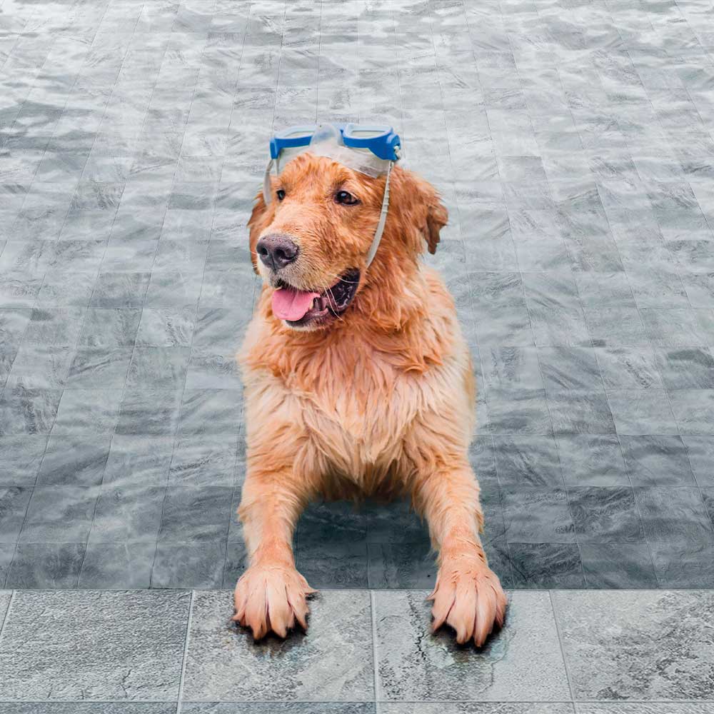 Pastilha Malibu Ocean 20x30 Bold Caixa 1,26m? Portobello - Construcasa ...